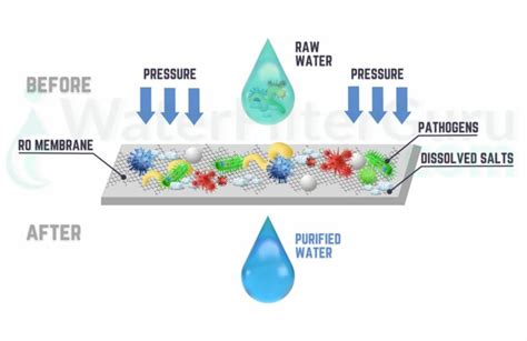Water Filter Vs Reverse Osmosis Which Is Better
