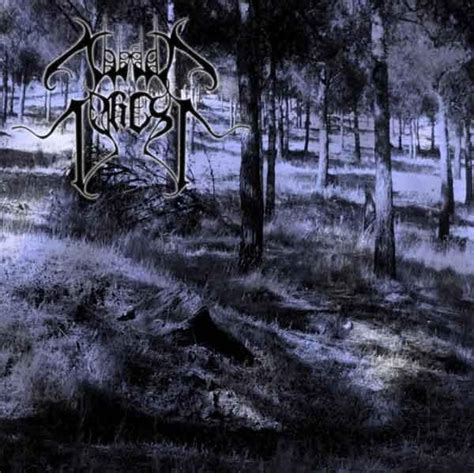 War Forest War Forest Lyrics And Tracklist Genius