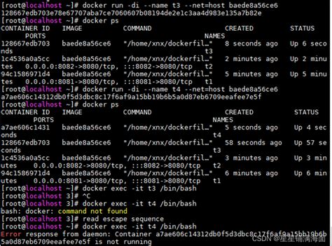 docker之网络配置 docker net host CSDN博客