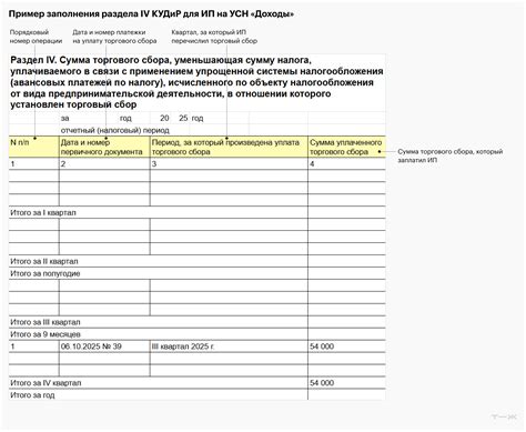 КУДиР как заполнять в 2025 ИП на УСН ОСНО ЕСХН и патенте примеры образцы