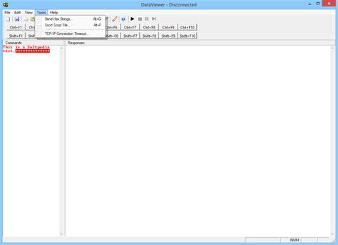 Dataviewer Download Softpedia