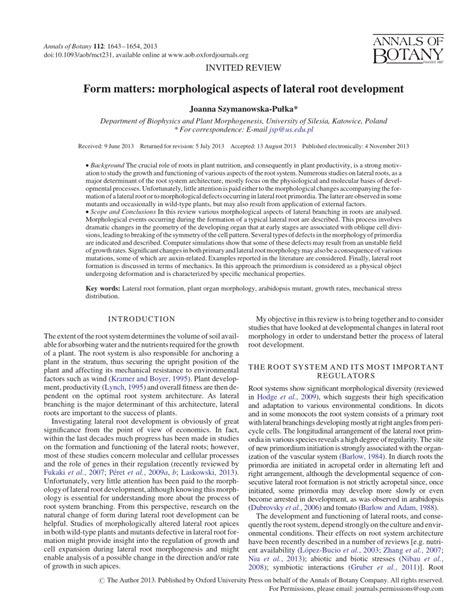 Pdf Form Matters Morphological Aspects Of Lateral Root Development