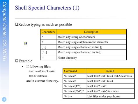 shells ppt download