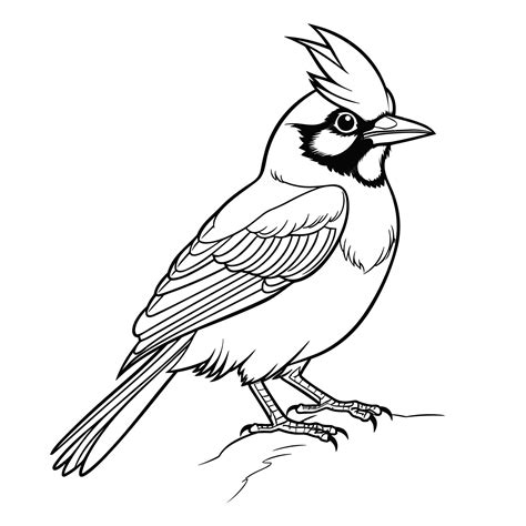 Blue Jay Coloring Page