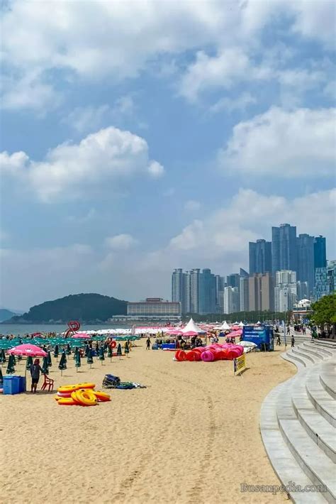 Haeundae Beach In Busan South Korea In Summer Busan Busan Korea