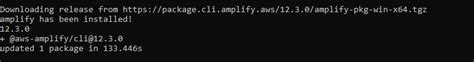 node js hanging stuck reify prettier timing reifynode node modules