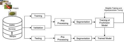 Fruit Grading System At Jenna Stokes Blog