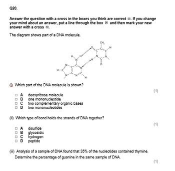 DNA Structure Test Base Of Exam Questions With Answers By Learnwithlaura