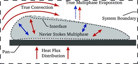Heat And Mass Transfer Processes During Cooking Download Scientific