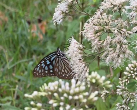 小墾丁渡假村 小墾丁渡假村 Added A New Photo