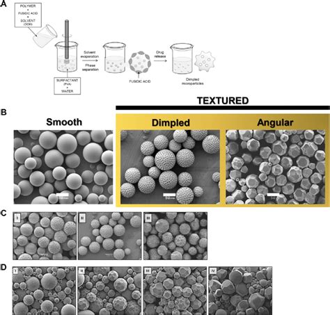 Fabrication And Characterization Of Topographically Textured