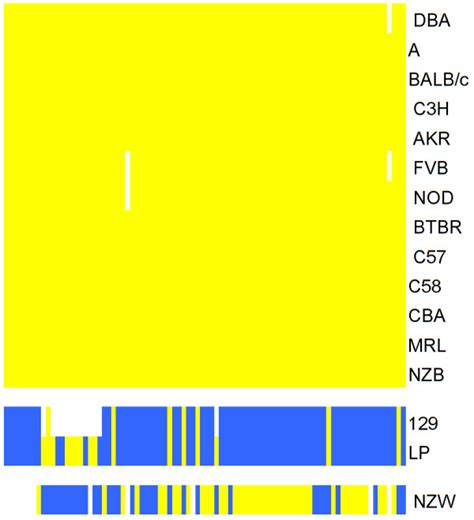 Haplotypic Structure Of The Mapk8 Gene Using Snp Data For The 13 Download Scientific Diagram
