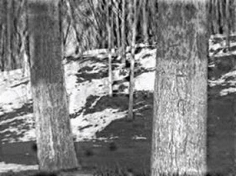 Pixel Level Fused Result A Wavelet Transform B Pca C