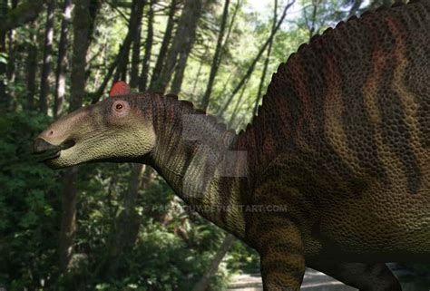 Edmontosaurus Facts And Pictures