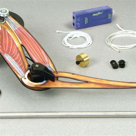 Human Arm Model Cider House Tech Human Arm Model Cider House Tech