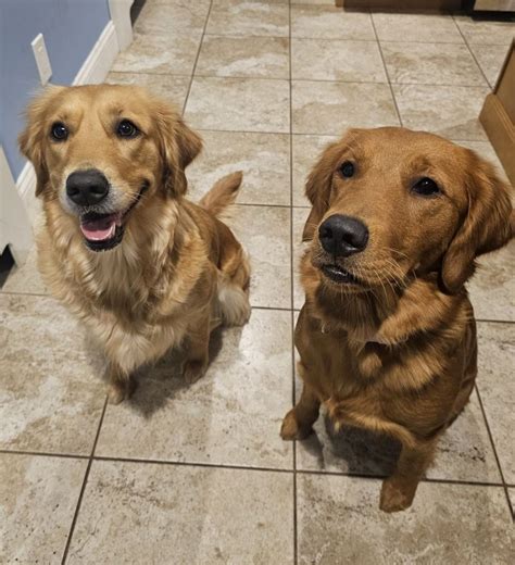 Bobby Poirier On Linkedin No3rdparties Oracleebs Oraclecloud Oraclefinancials Oraclehcm…