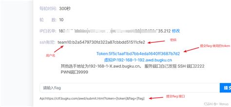 ctf——awd模式小总结 watchbird csdn博客