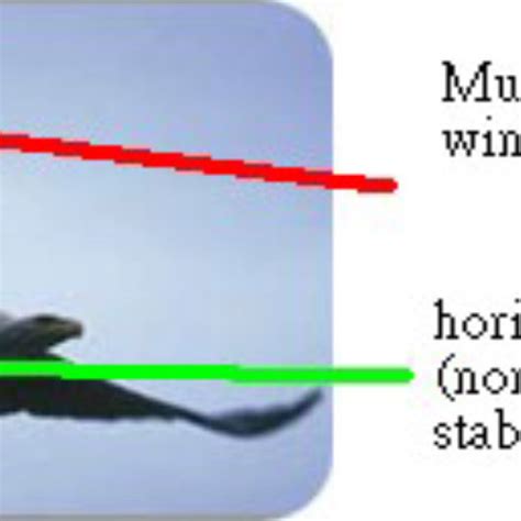 Pdf Winglet Cant And Sweep Angles Effect On Aircraft Wing Performance