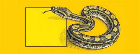 Dragansr Boa Javascript In Rust