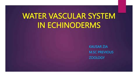 Water Vascular System In Echinoderms By Kausar Zia Msc I Yearpptx Geology Science Water Vascular System In Echinoderms By Kausar Zia Msc I Yearpptx Geology Science
