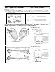 Learn Bony Landmarks: Clavicle, Scapula, Humerus, Radius, Ulna, | Course Hero