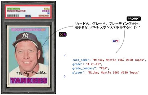 When Ocr Meets Chatgpt Ai In One Api Ximilar Visual Ai For Business