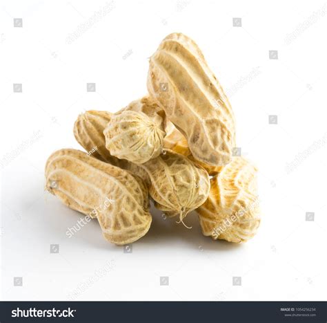 199 Penuts Isolated Images Stock Photos Vectors Shutterstock