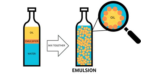 Bio Based Emulsifiers Master The 4 Steps Of Emulsification