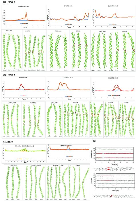Molecular Dynamic Simulations In Deb Subtypes A And B Diameter