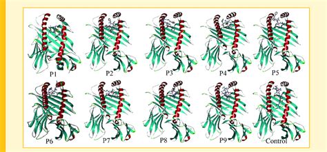 The Binding Mode Of Each Highly Promiscuous Epitope To The Hla Binding Download Scientific
