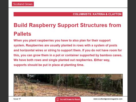 Raspberry Support System Raspberry Support System