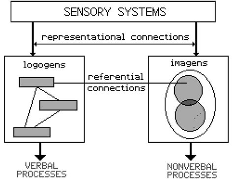 Dual Coding Theory Information From The Sensory System Is Selectively