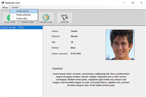 C Přehled Projektů