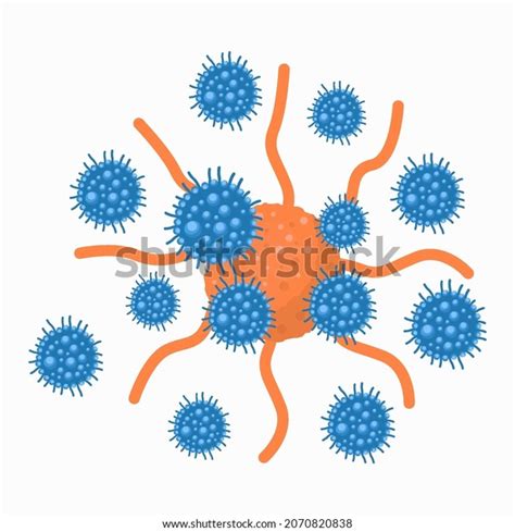 Illustration Vector Flat Design T Cell Stock Vector Royalty Free