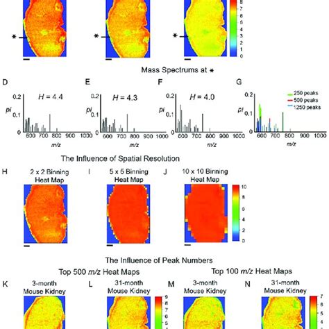 Effects Of Mass And Spatial Resolutions On Entropy Heat Maps A C