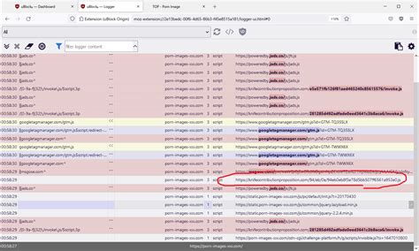 Ubo Misses A Very Specific Script That Should Be Caught By A Regex Filter · Issue 2041