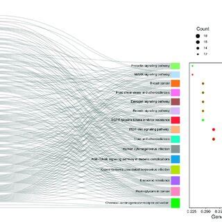 A Reactome Pathway Enrichment Analysis Of 56 Overlapped Genes B Download Scientific