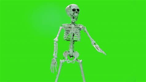 Animated Skeleton Videos Download The Best Free 4k Stock Video Footage And Animated Skeleton Hd