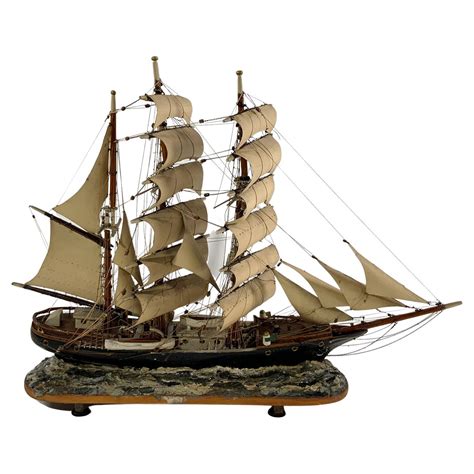 Six Antique Models Zygote Of Lancelet For Class By Luis M Meusel At 1stdibs