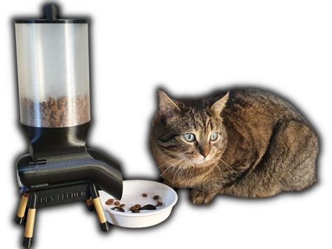 IOT Pet Feeder Using The Blynk Mobile App And An ESP Mo
