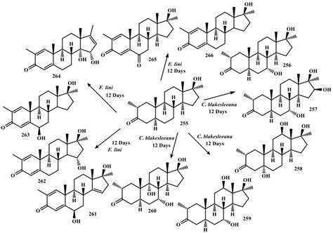 Biotransformation Studies On Bioactive Compounds 25 Years Of