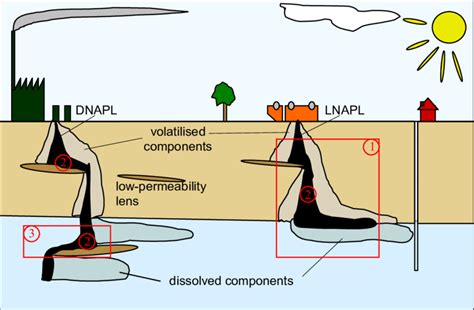 Illustration Of Typical Spreading Behaviour Of Lnapls And Dnapls 1