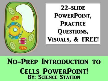 Introduction To Cells By Science Station TPT