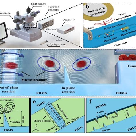 Pdf On Chip Rotational Manipulation Of Microbeads And Oocytes Using Acoustic Microstreaming