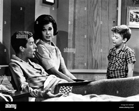 Dick Van Dyke Show Dick Van Dyke Mary Tyler Moore Larry Mathews