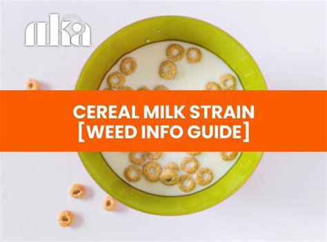 Cereal Milk Strain Weed Strain Information