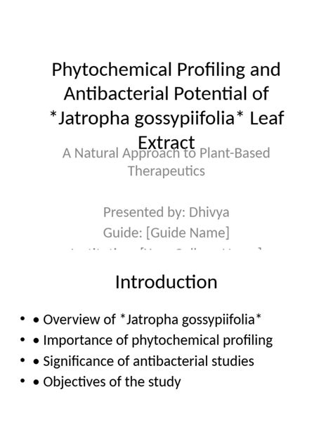 Phytochemical Profiling Ppt Template Pdf