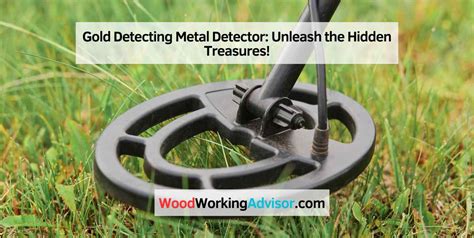 Gold Detecting Metal Detector Unleash The Hidden Treasures