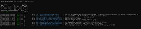 Github Sisipapaspringboot Docker Springboot 프로젝트 생성 후 Docker Hub에 이미지 Push