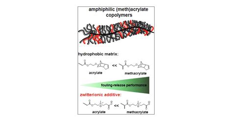 Amphiphilic Zwitterionic Acrylatemethacrylate Copolymers For Marine